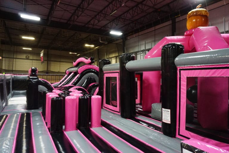 Gallery | North Calgary | Flying Squirrel