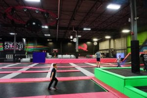 Gallery | North Calgary | Flying Squirrel