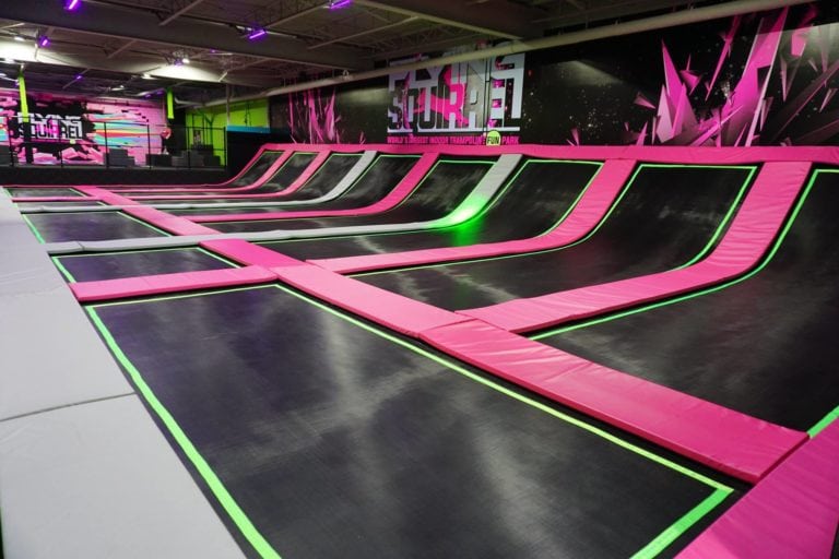 Gallery - London Ontario - Flying Squirrel