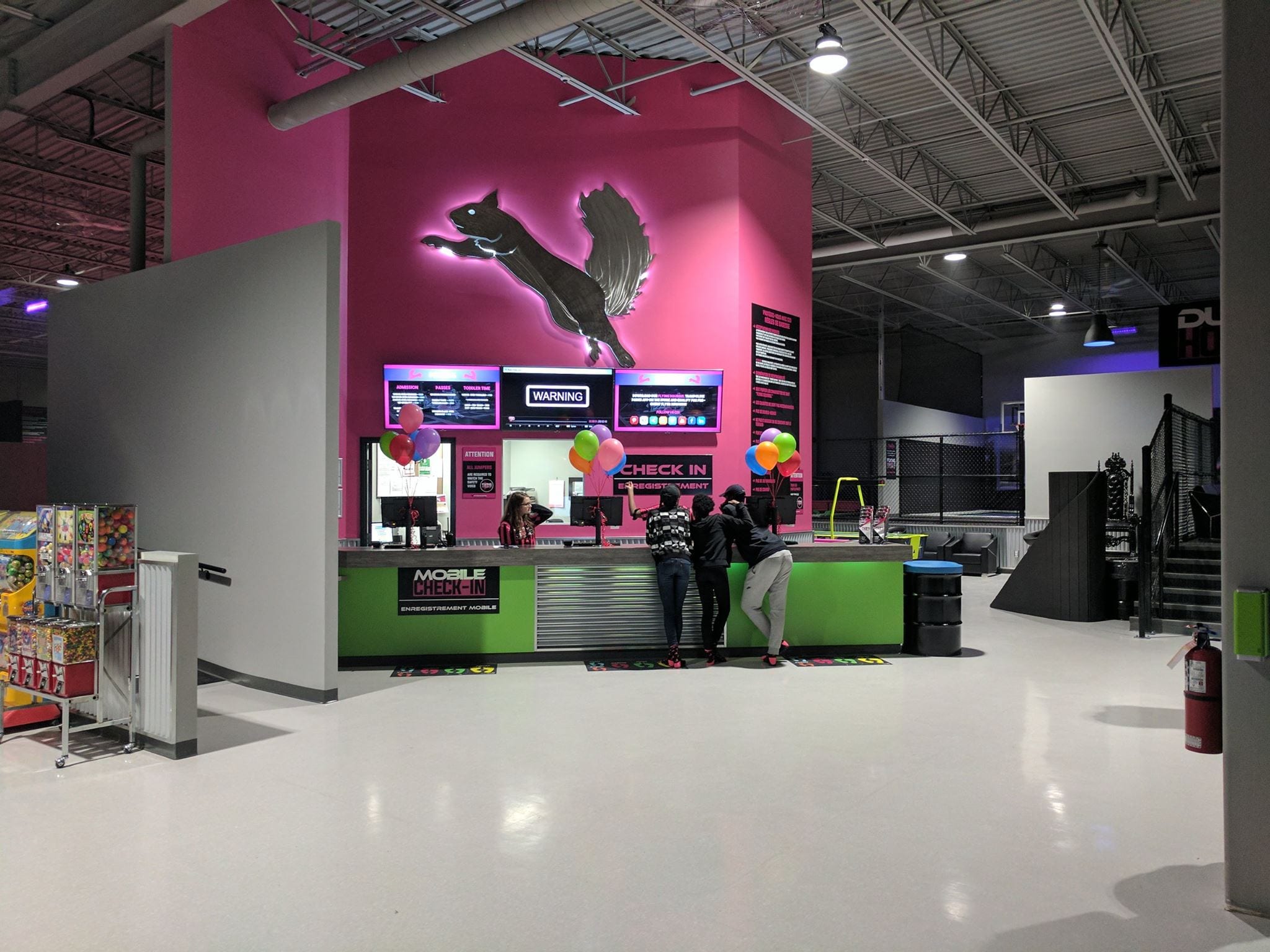 Gallery - Ottawa Ontario - Flying Squirrel