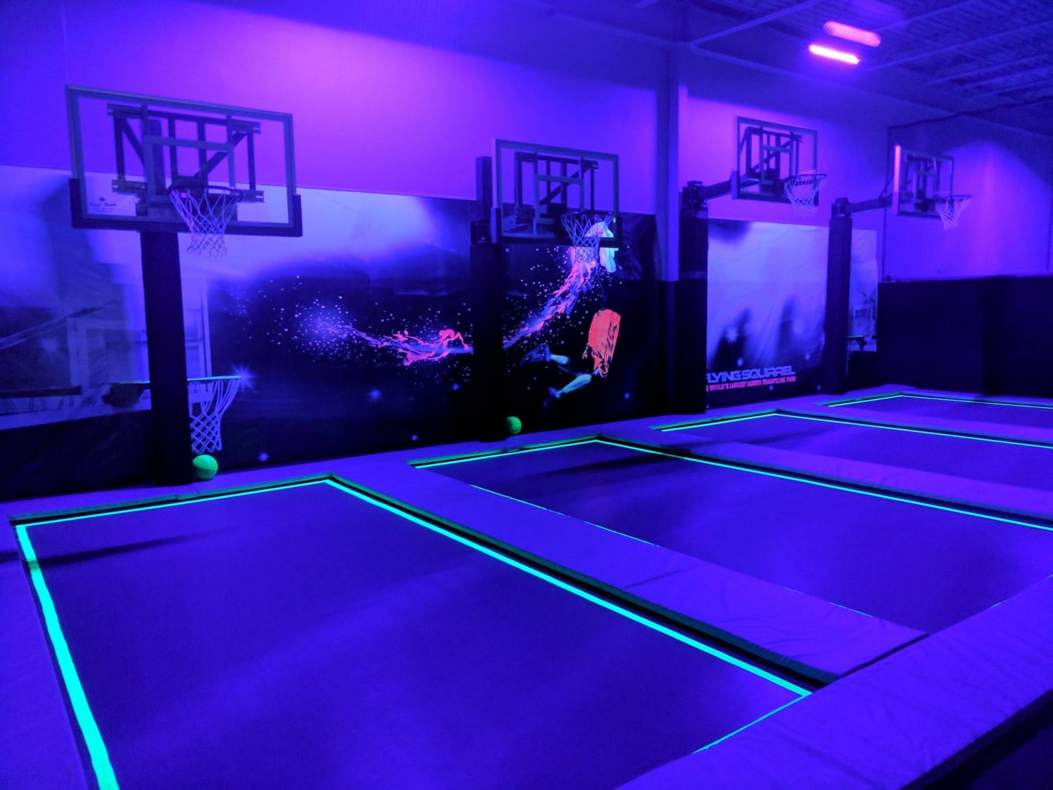 Gallery - Ottawa Ontario - Flying Squirrel