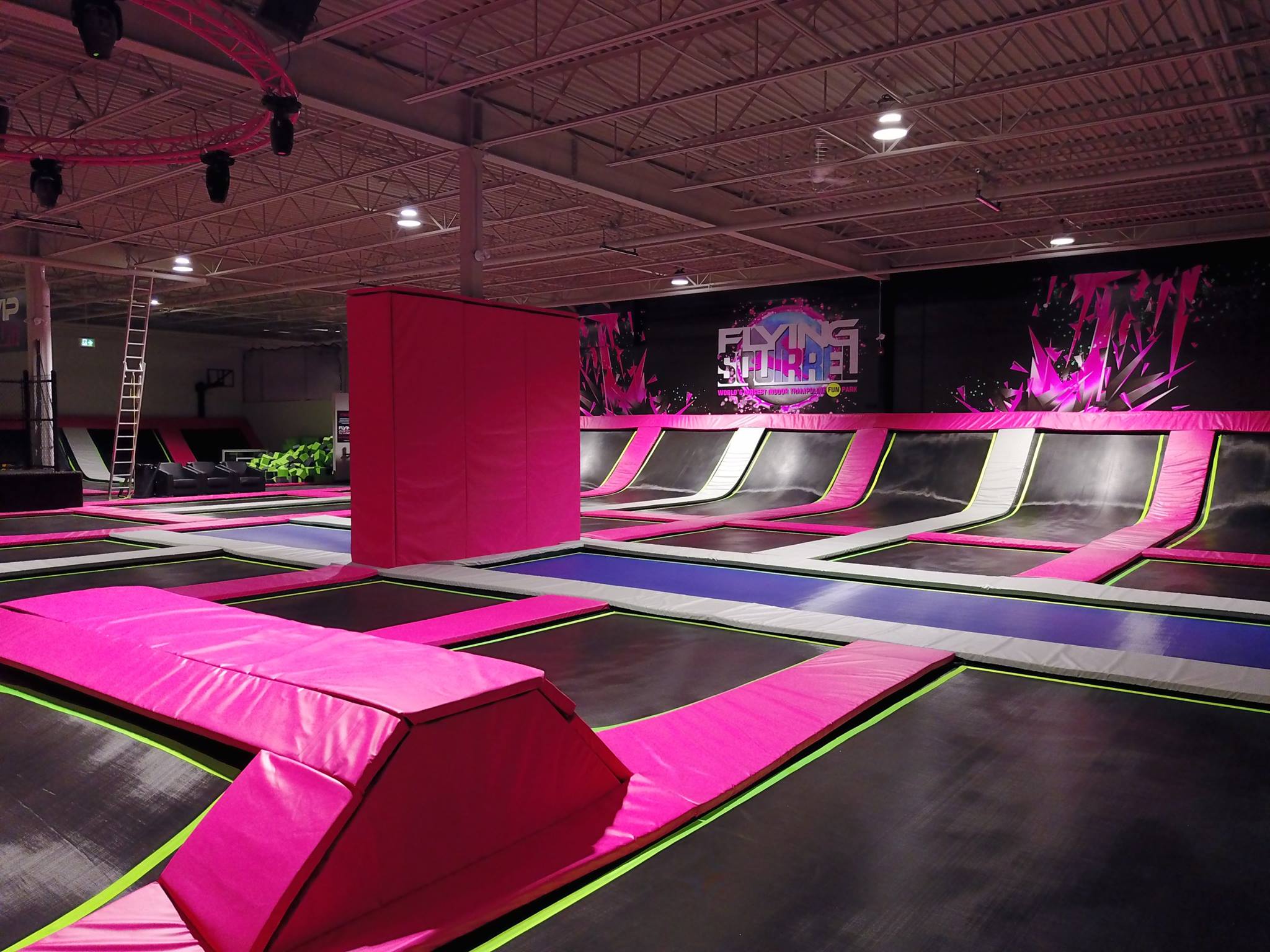 Gallery - Ottawa Ontario - Flying Squirrel