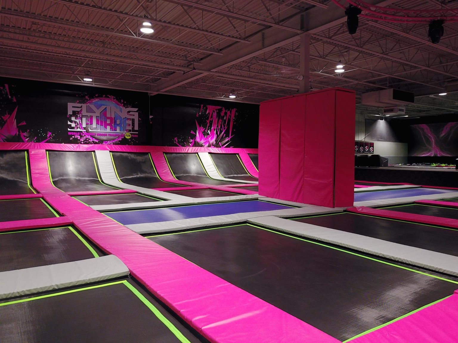 Gallery - Ottawa Ontario - Flying Squirrel