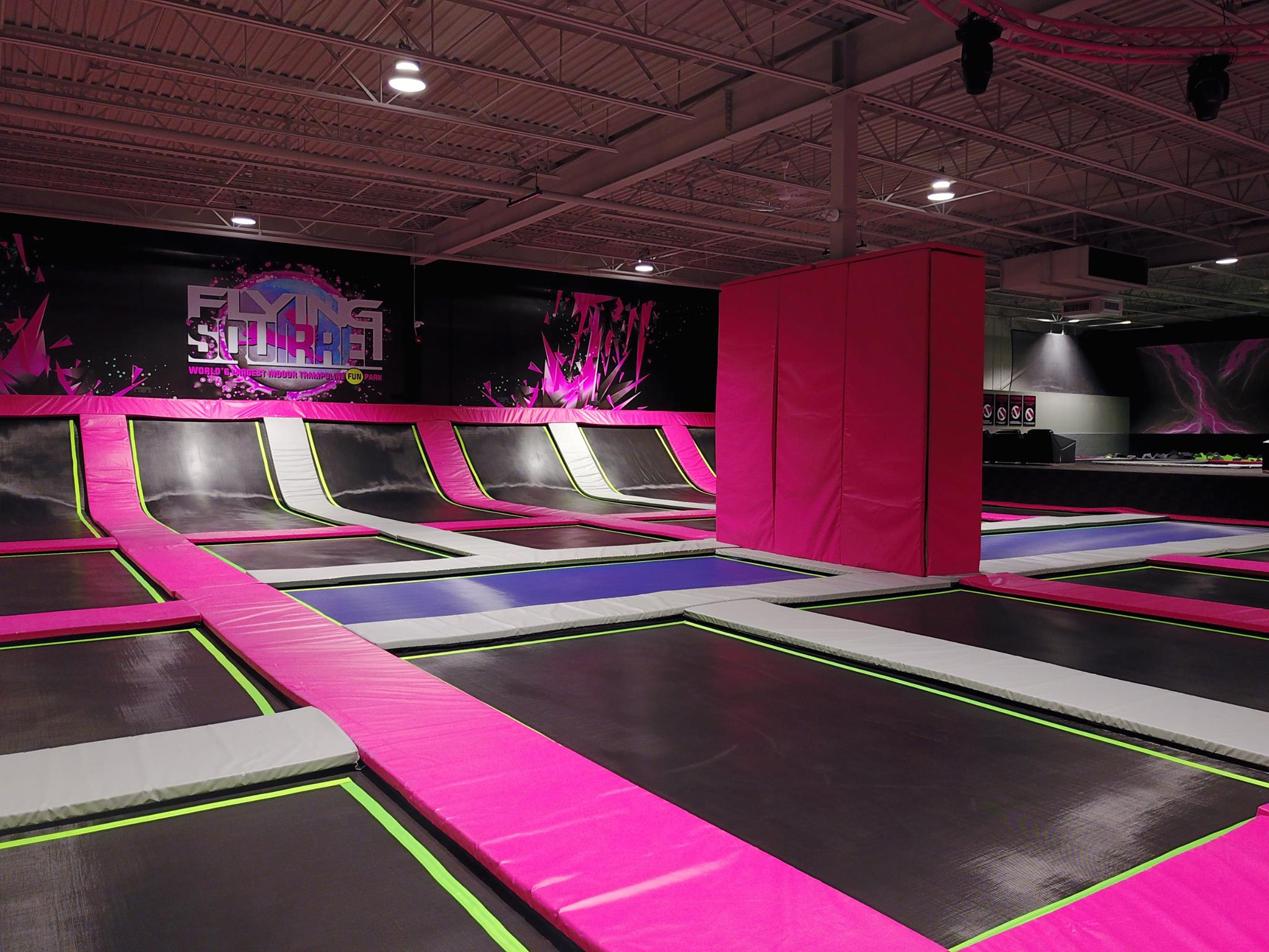 Gallery - Ottawa Ontario - Flying Squirrel