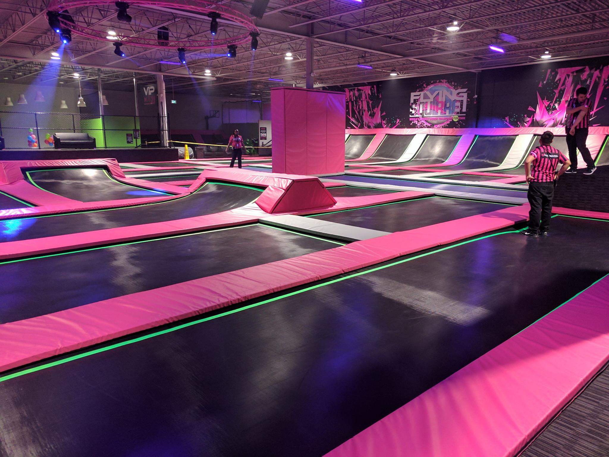 Gallery - Ottawa Ontario - Flying Squirrel