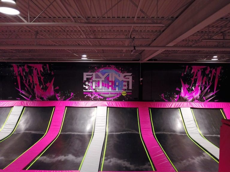 Gallery - Ottawa Ontario - Flying Squirrel