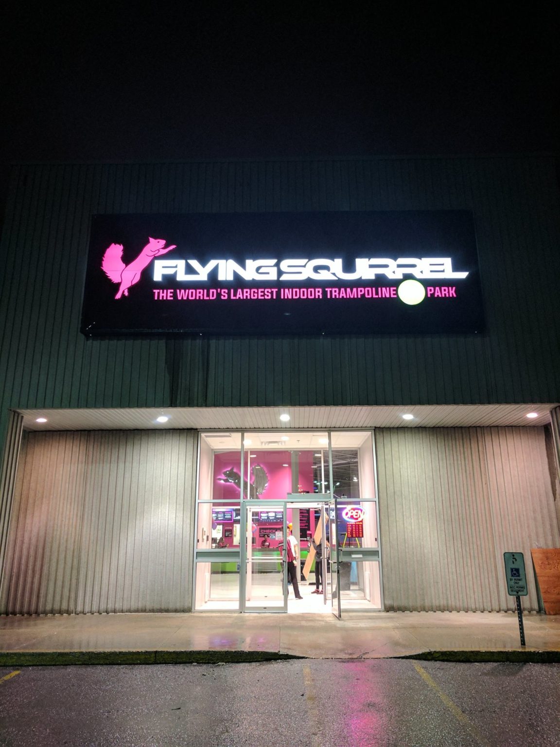 Gallery - Ottawa Ontario - Flying Squirrel