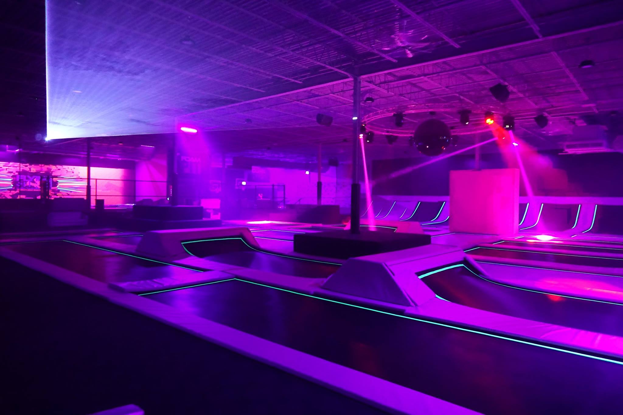 Gallery - Ottawa Ontario - Flying Squirrel