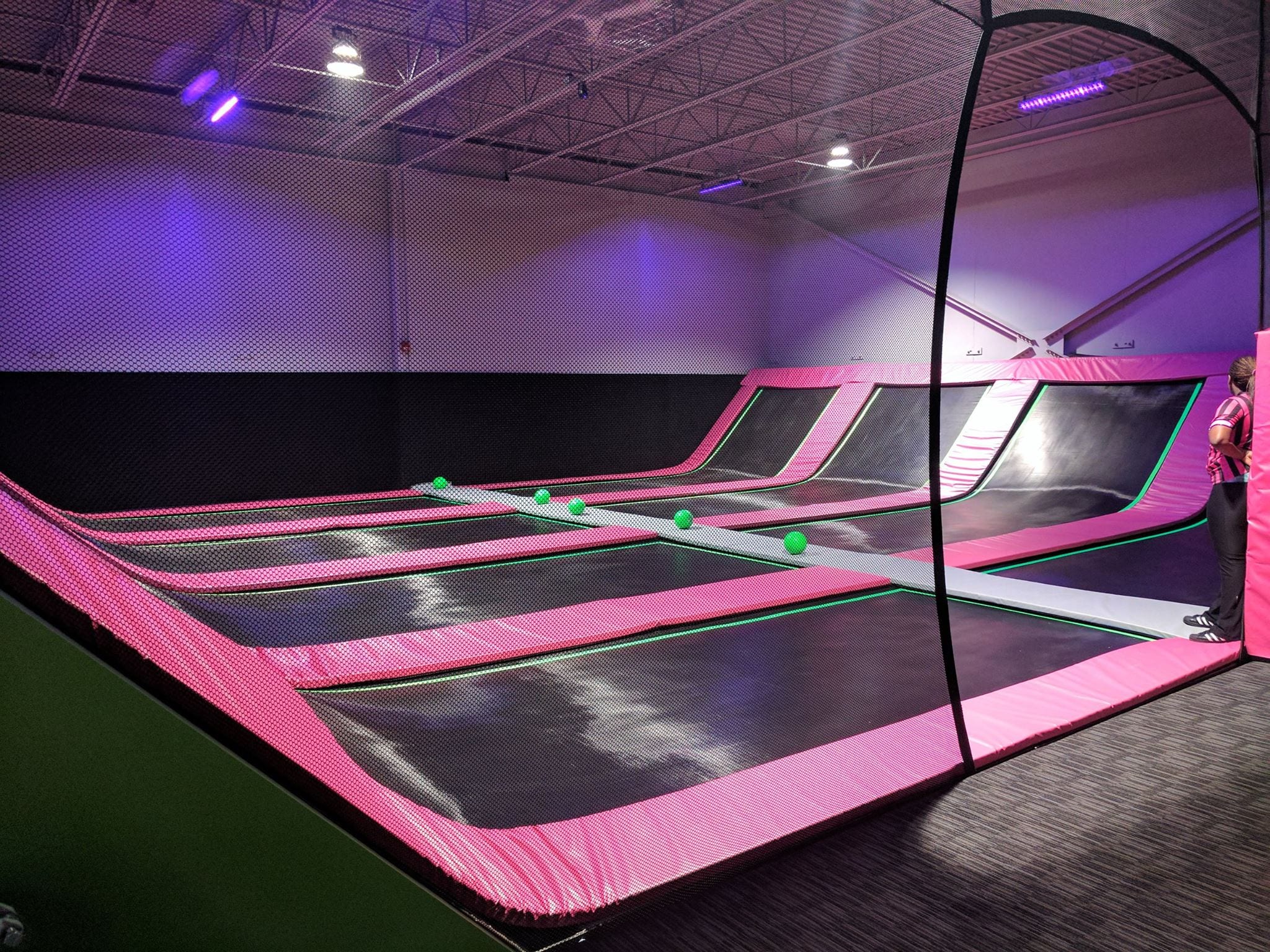 Gallery - Ottawa Ontario - Flying Squirrel