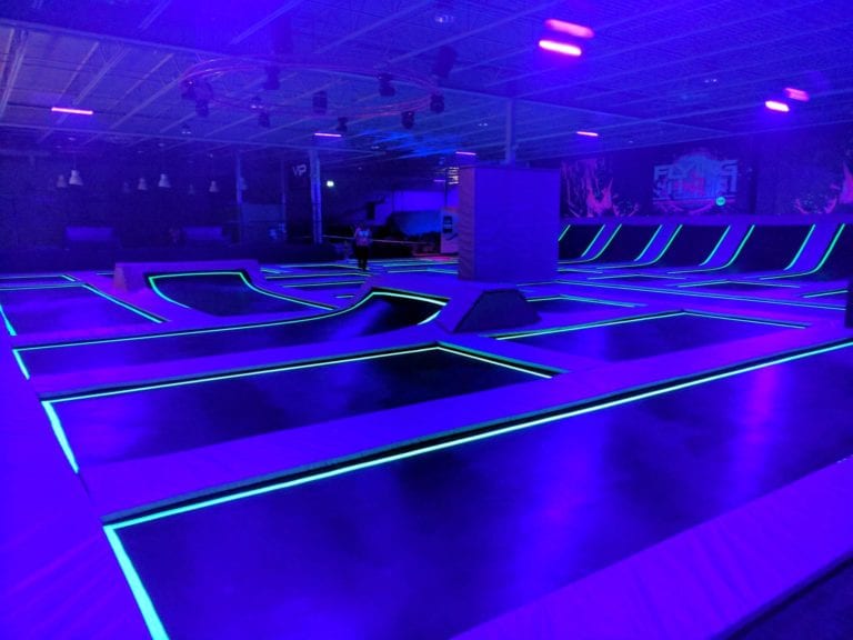 Gallery - Ottawa Ontario - Flying Squirrel