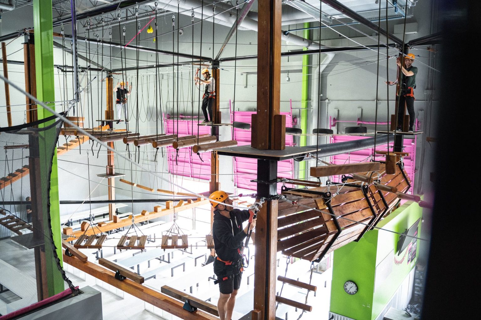 Gallery - Victoria B.C. - Flying Squirrel