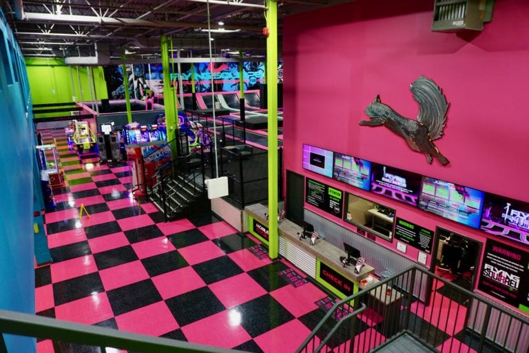 Gallery - Whitby Ontario - Flying Squirrel