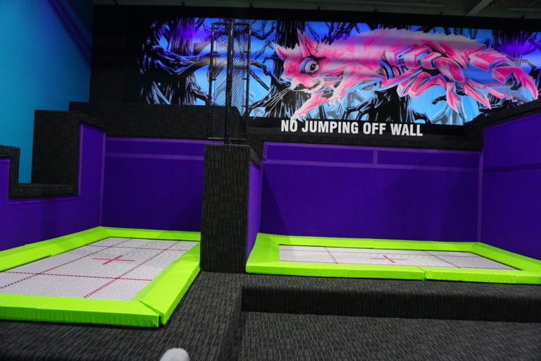 Gallery - Whitby Ontario - Flying Squirrel