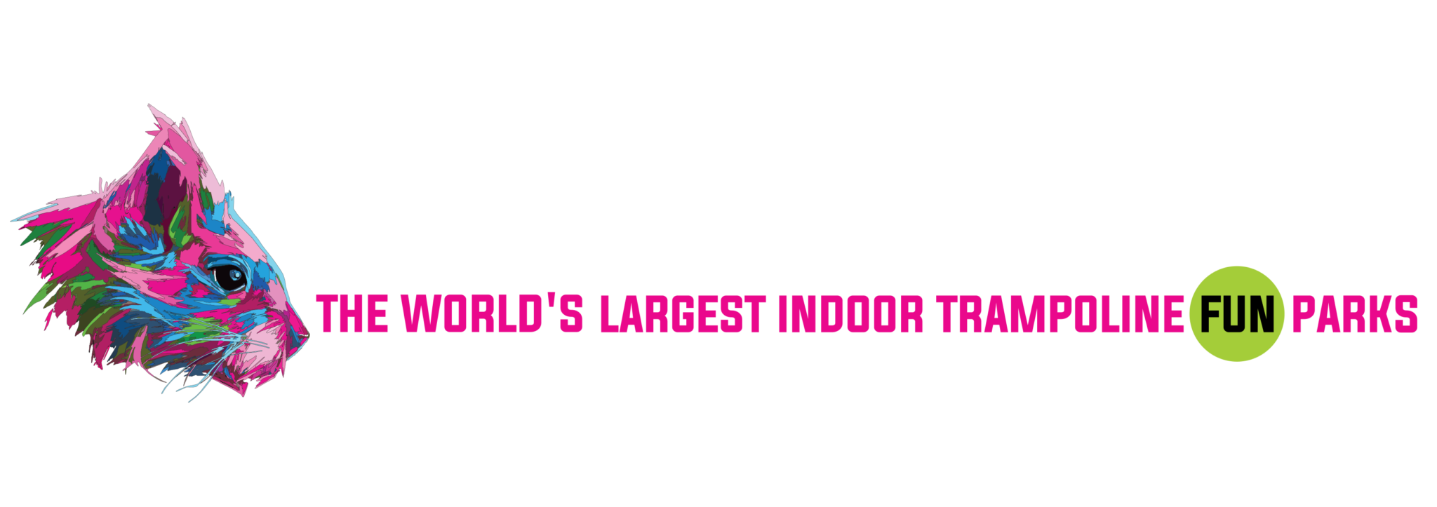 Flying Squirrel Birthday Party Packages Winnipeg, Manitoba